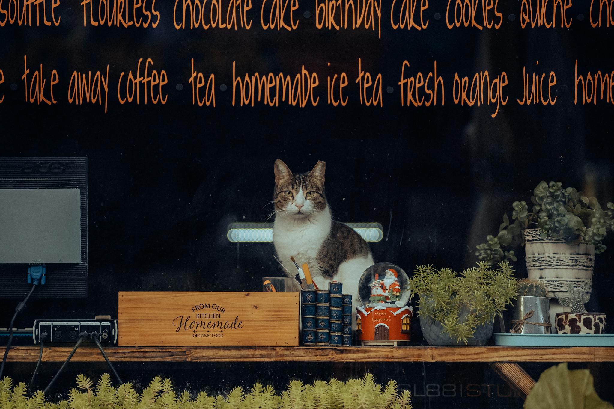 10 Coffee Date Ideas for a Perfect First Date or Lasting Romance ☕💖 ...
