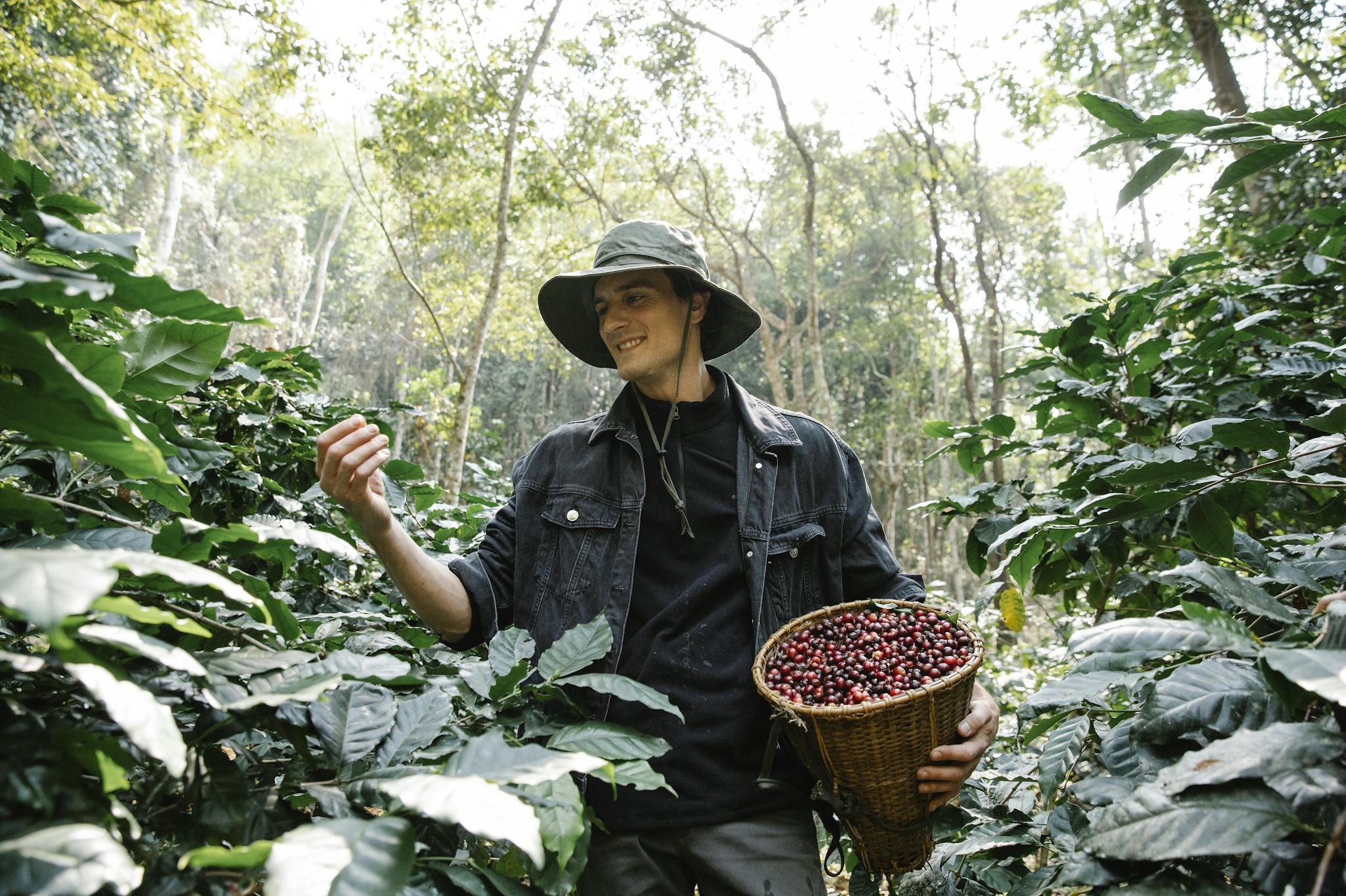 Game-Changing Coffee Trends to Watch in 2025 - Brewed Knowledge